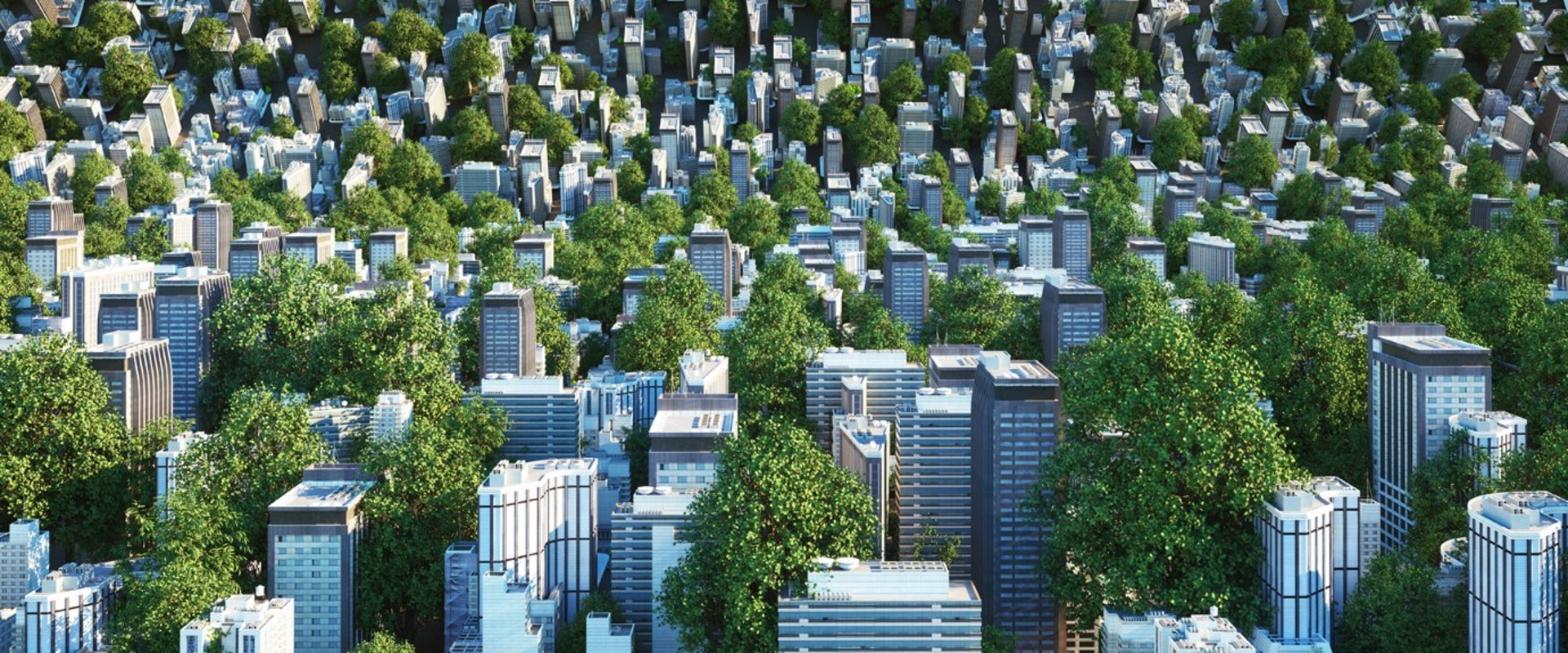 Implementing Sustainable Marketing Strategies in Los Angeles